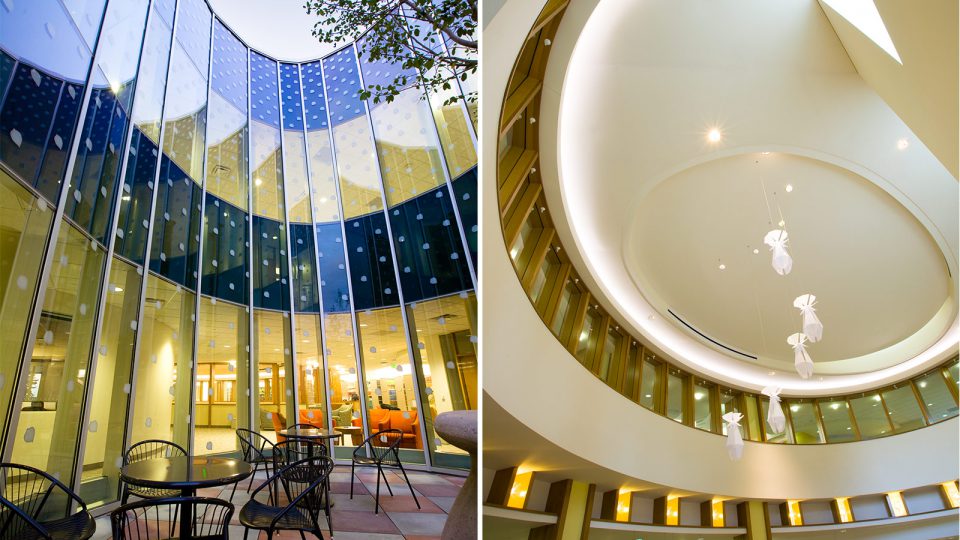 Fitz Library 4 Davis Partnership